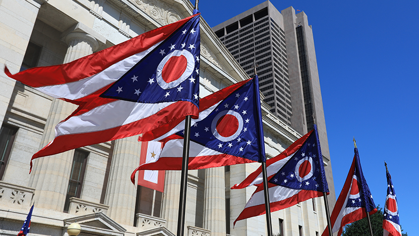 Direct Democracy Flag