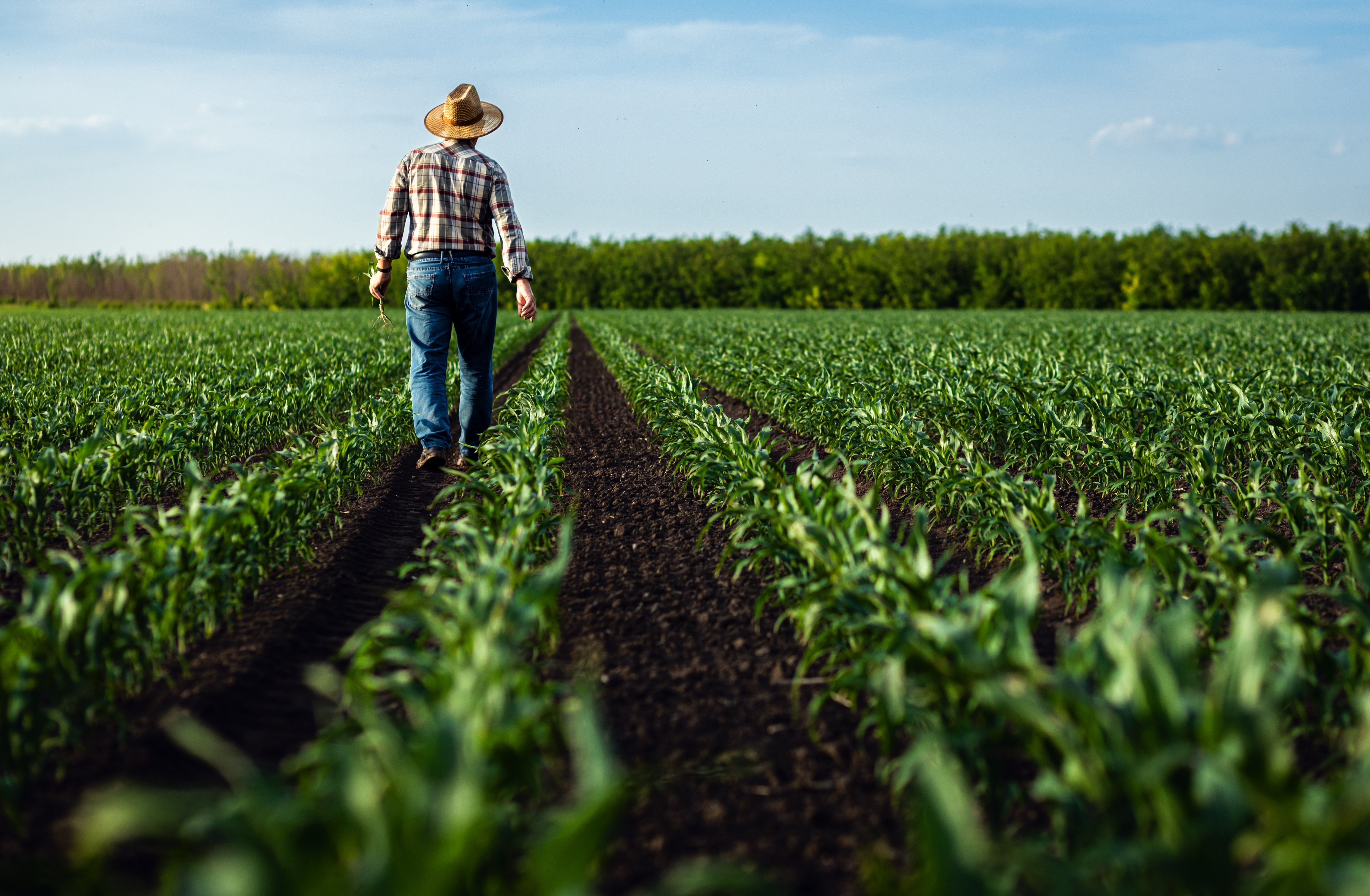 Ohio’s Rural Crisis: A Personal Journey Bridging Farming and Law